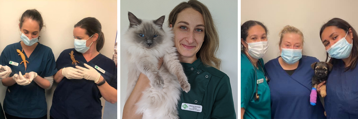 Croydon Vets Croydon Vets Awarded 'Best Surrey Vet' - Croydon Vets