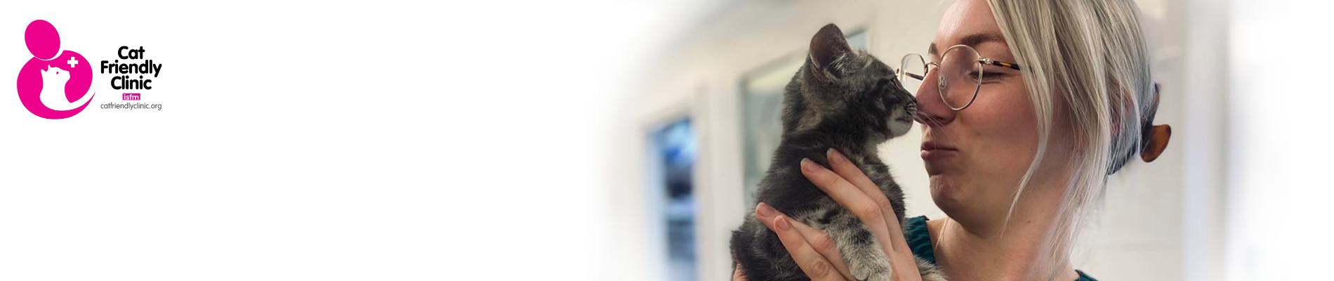 Being a Cat Friendly Clinic | Croydon Vets